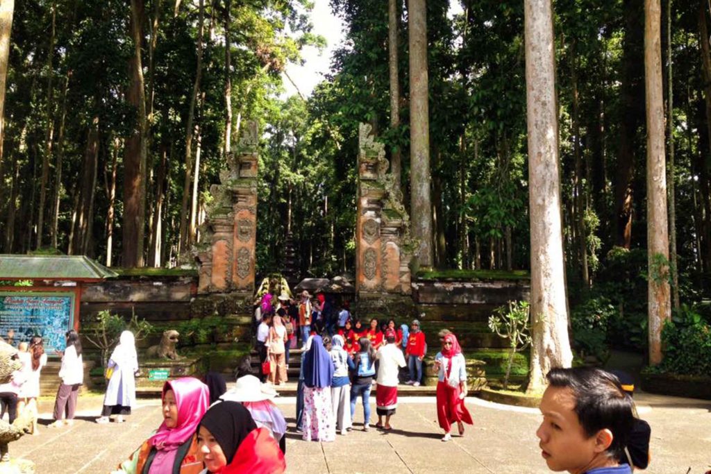 {:en}Sangeh Monkey Forest{:}{:id}Obyek wisata Sangeh Monkey Forest ...